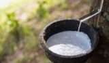 Rubber market loses momentum amid weak demand – Rubber Journal Asia ...
