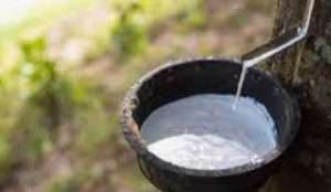 Rubber market loses momentum amid weak demand – Rubber Journal Asia ...